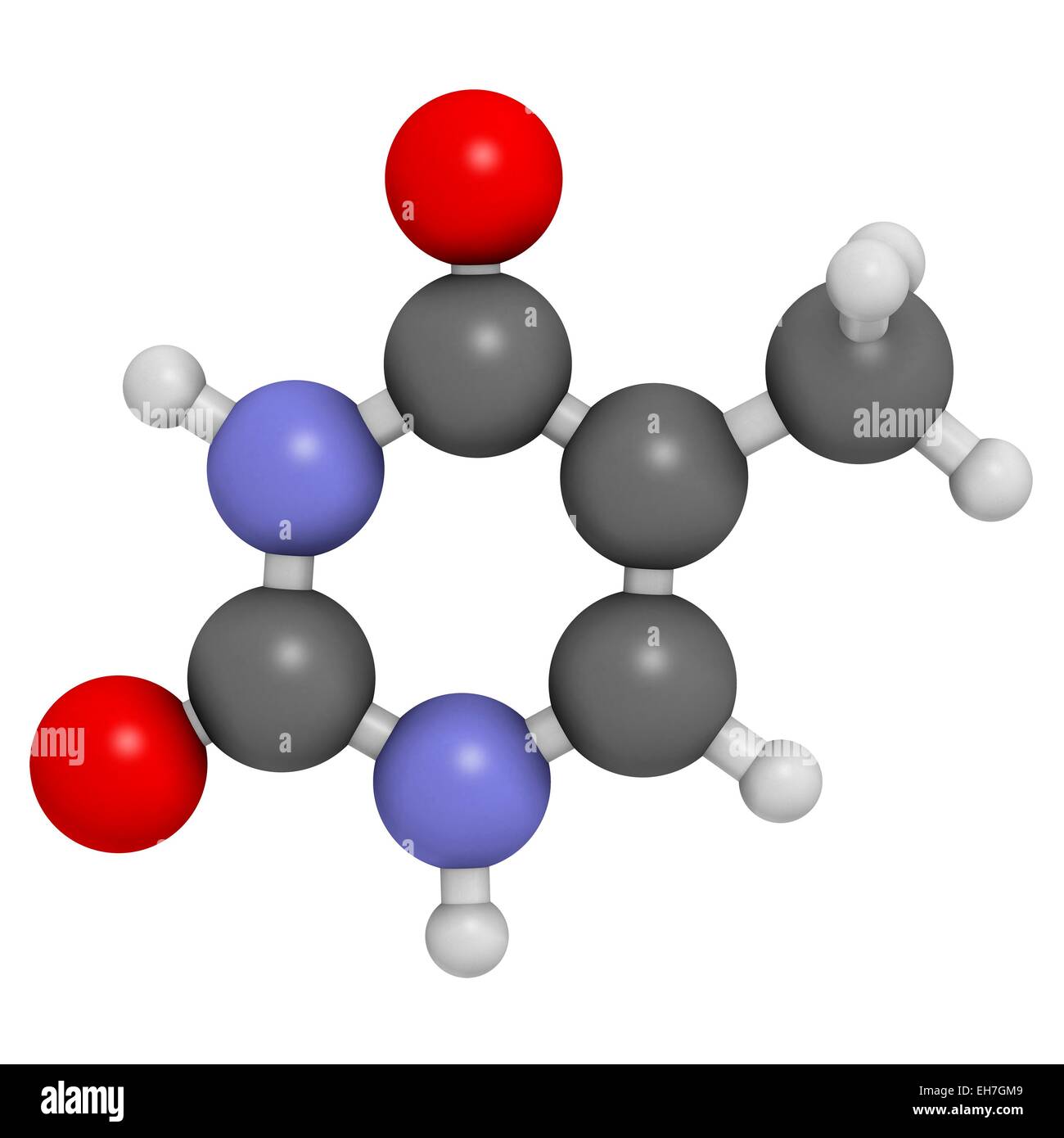 Thymine Molecule High Resolution Stock Photography and Images - Alamy