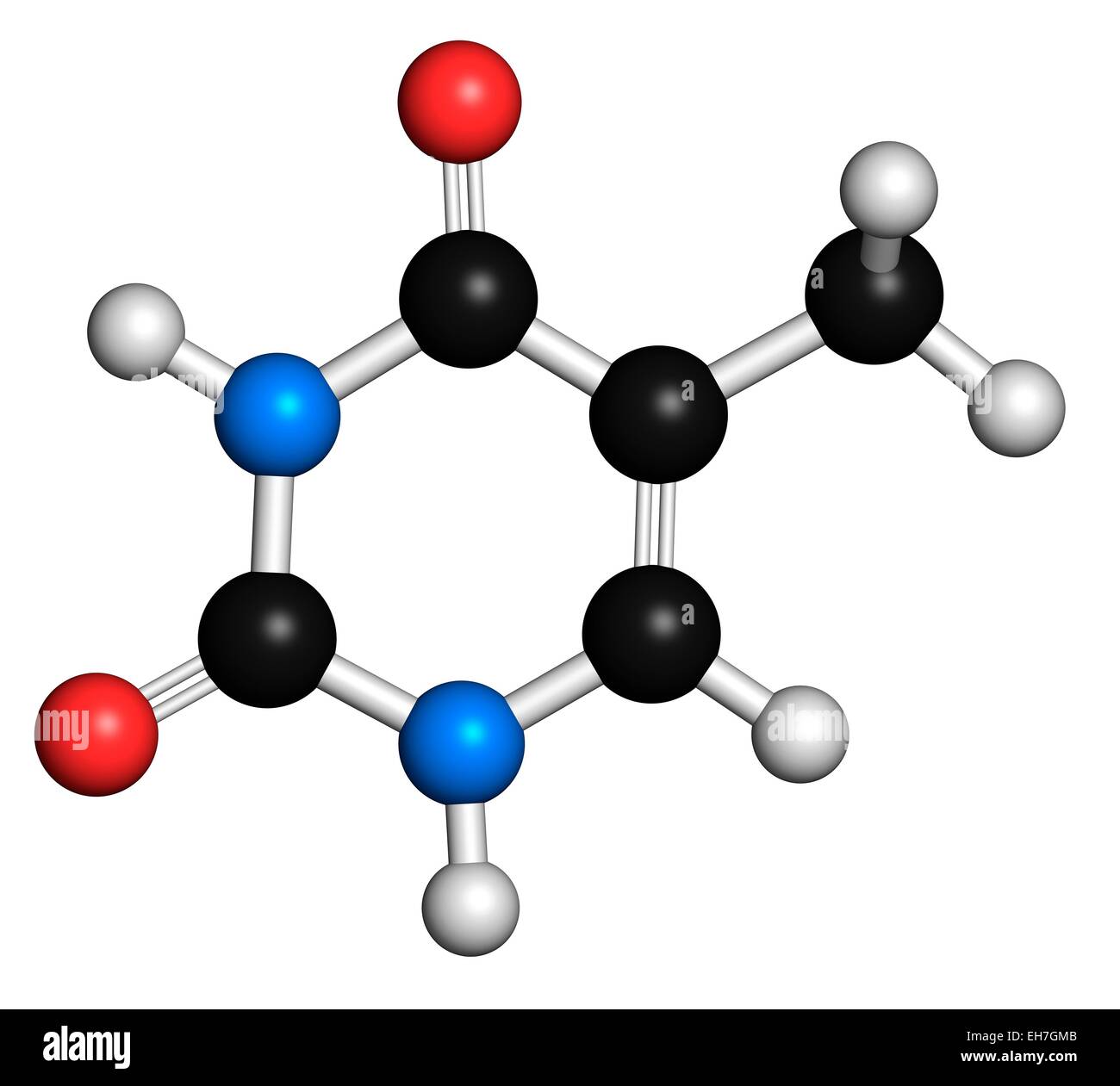 Thymine nucleobase molecule Stock Photo - Alamy