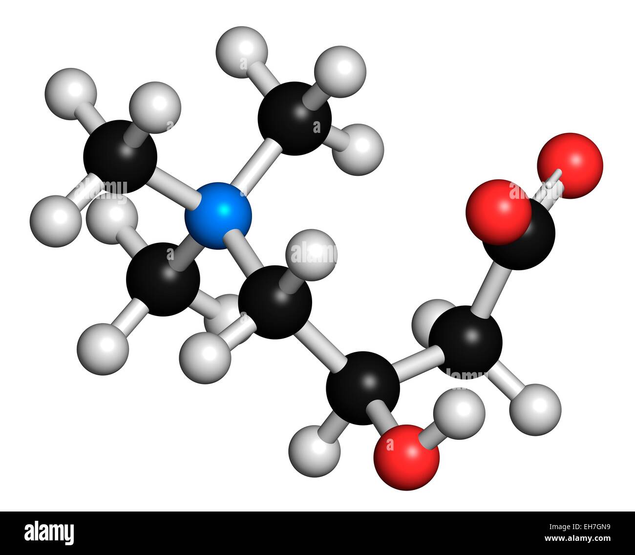 Carnitine molecule chemical structure often hi-res stock photography ...