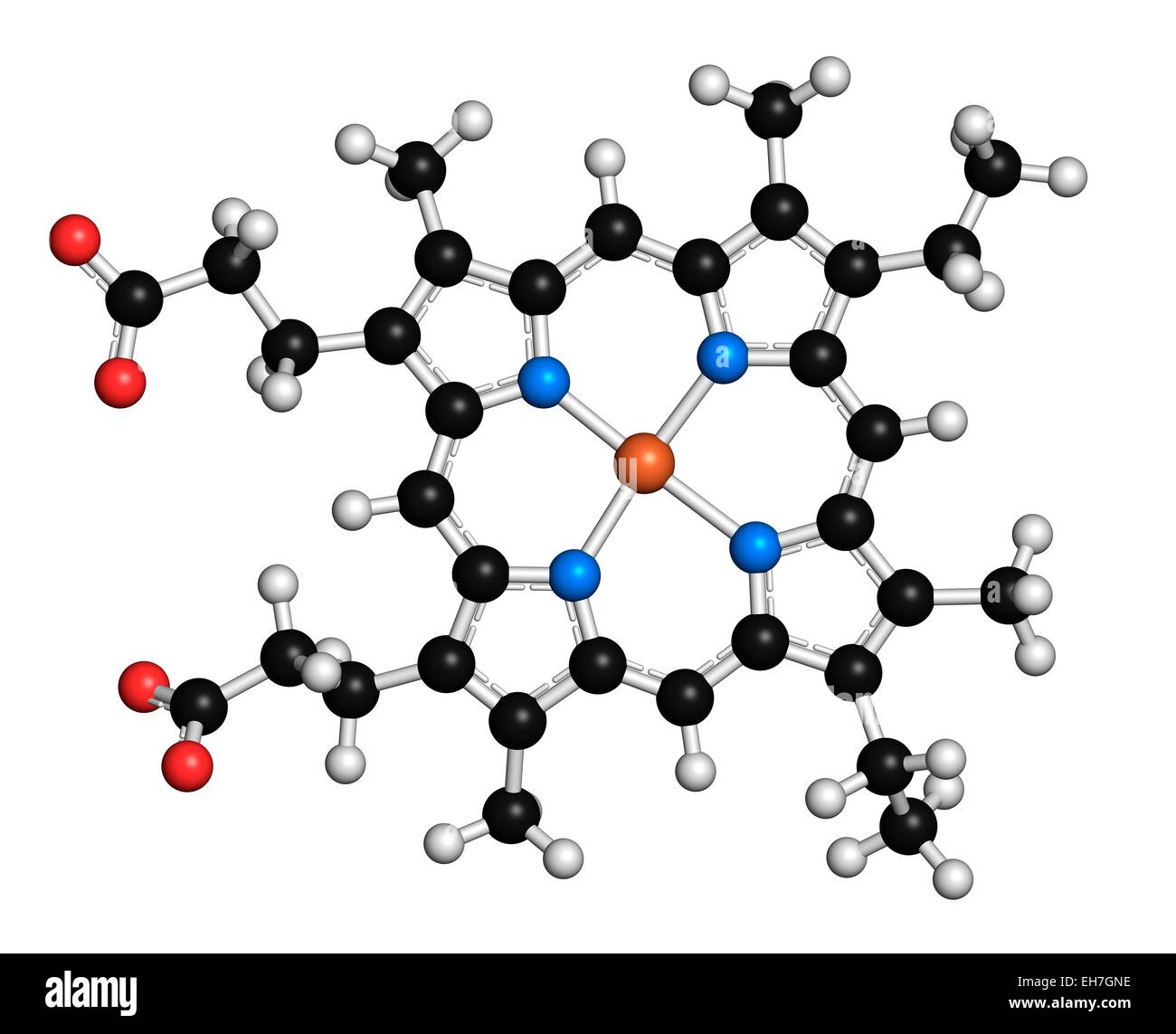 Hemoprotein Cut Out Stock Images & Pictures - Alamy