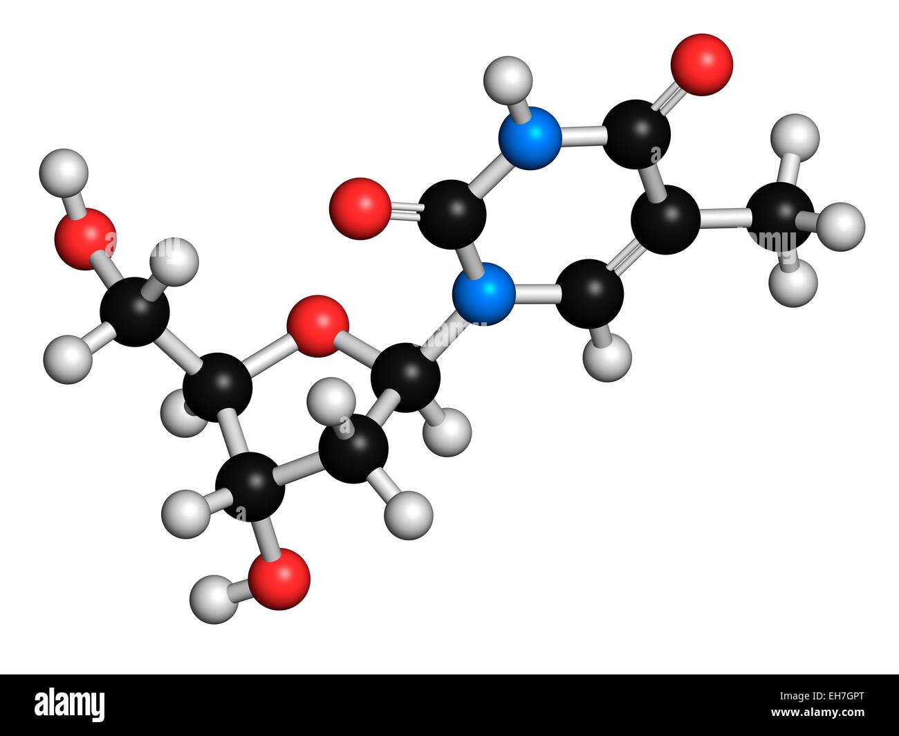 Thymidine nucleoside molecule Stock Photo - Alamy