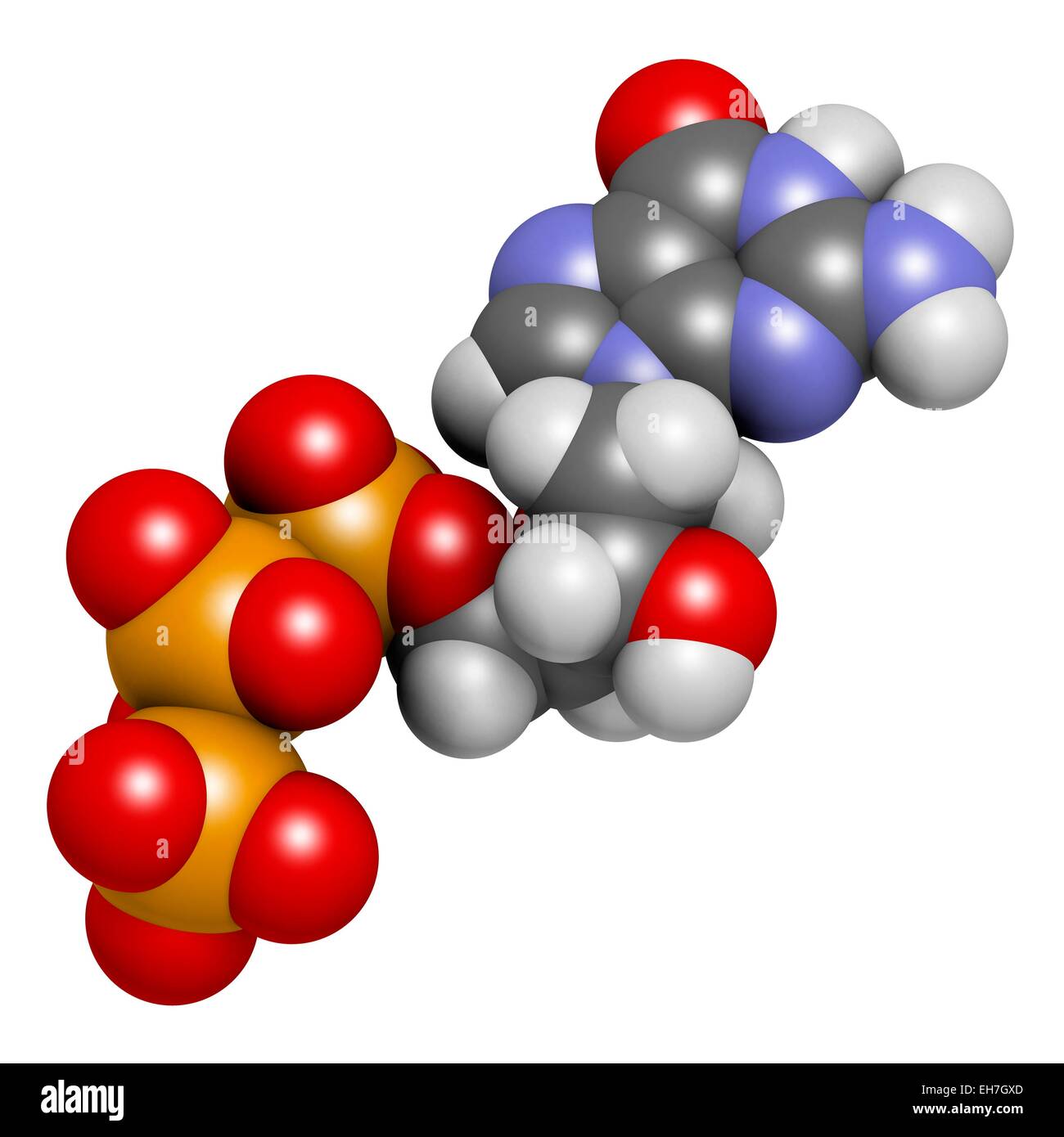 Deoxyguanosine triphosphate molecule Stock Photo - Alamy
