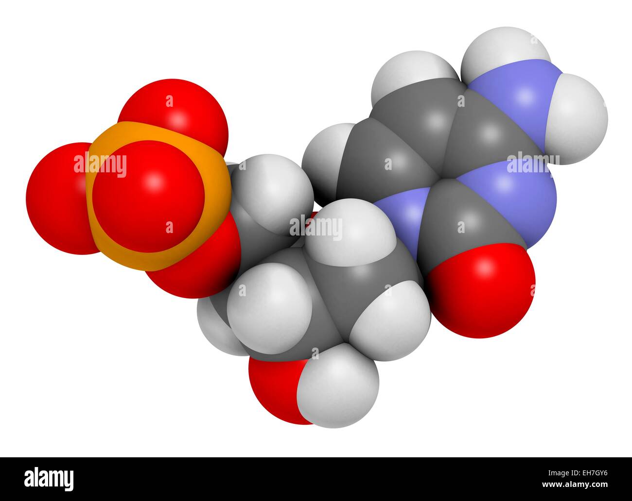 Deoxycytidine triphosphate nucleotide molecule hi-res stock photography ...