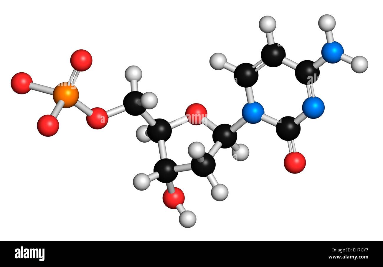 Deoxycytidine triphosphate nucleotide molecule hi-res stock photography ...