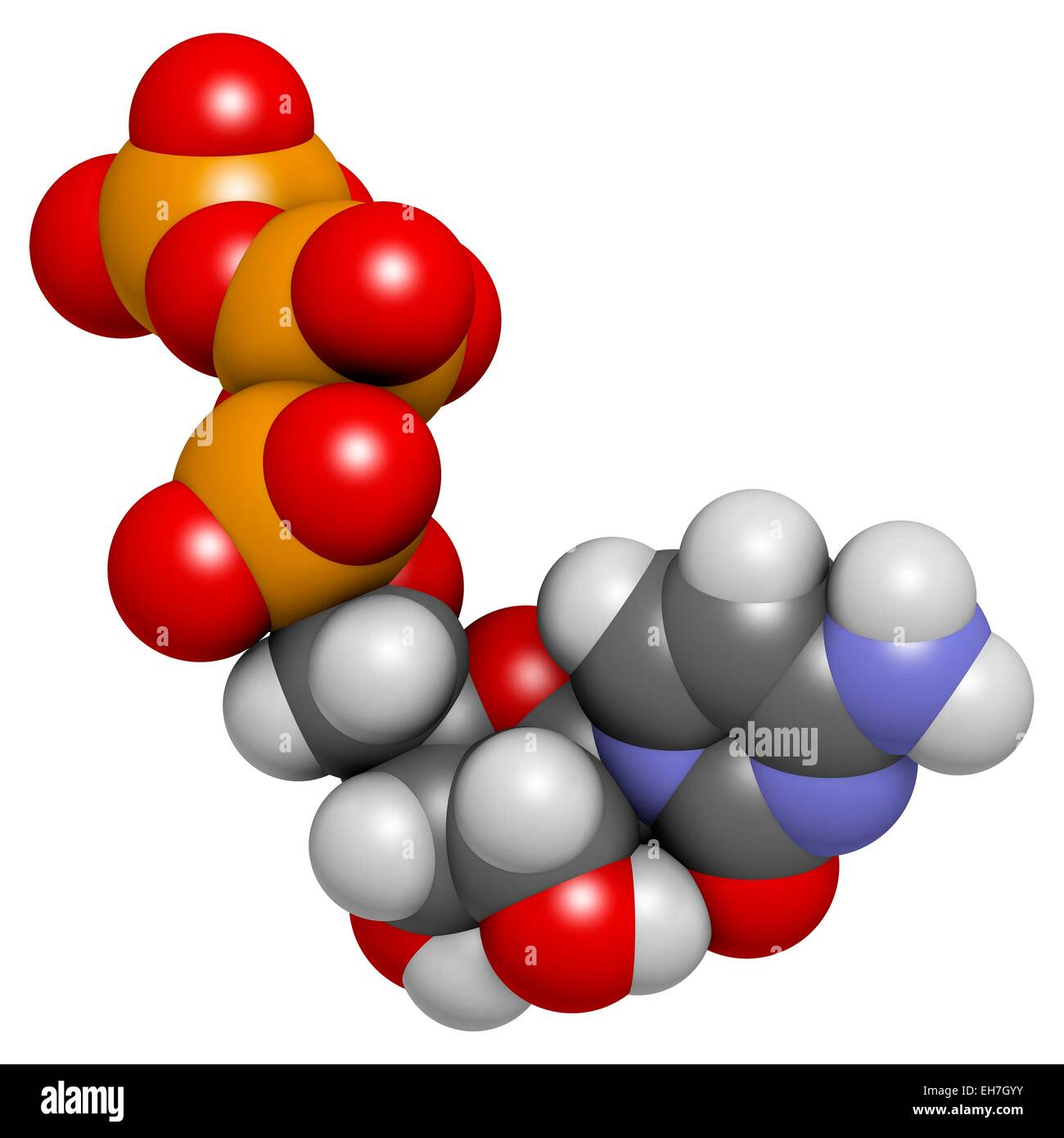 Cytidine triphosphate ctp hi-res stock photography and images - Alamy