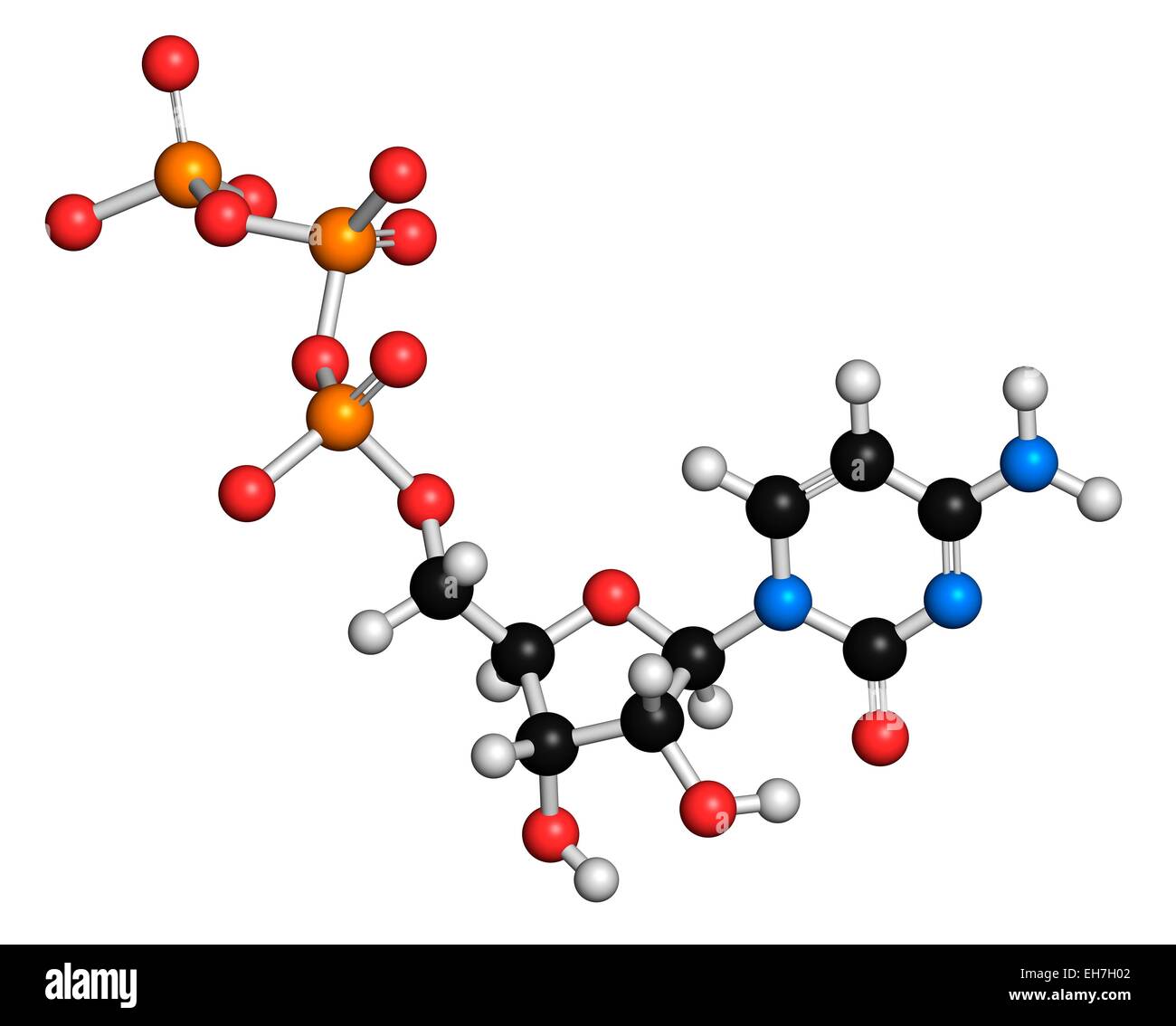 Cytidine triphosphate molecule Stock Photo - Alamy