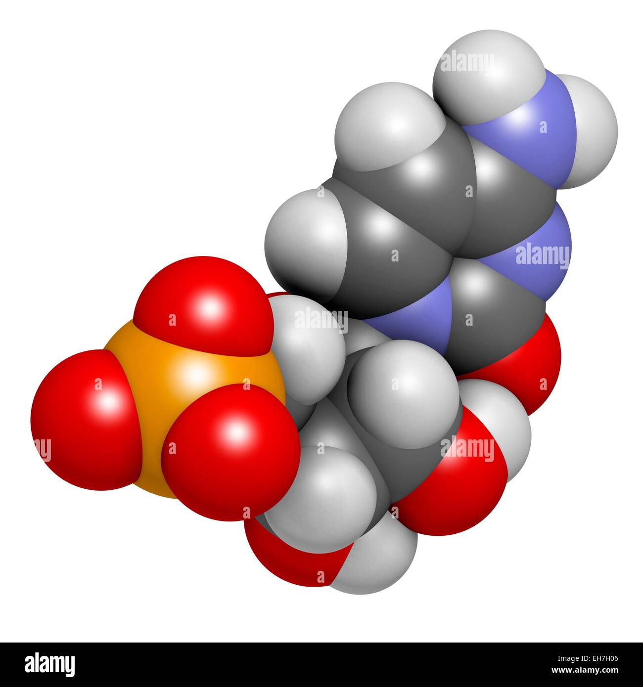 Cytidine monophosphate molecule Stock Photo - Alamy
