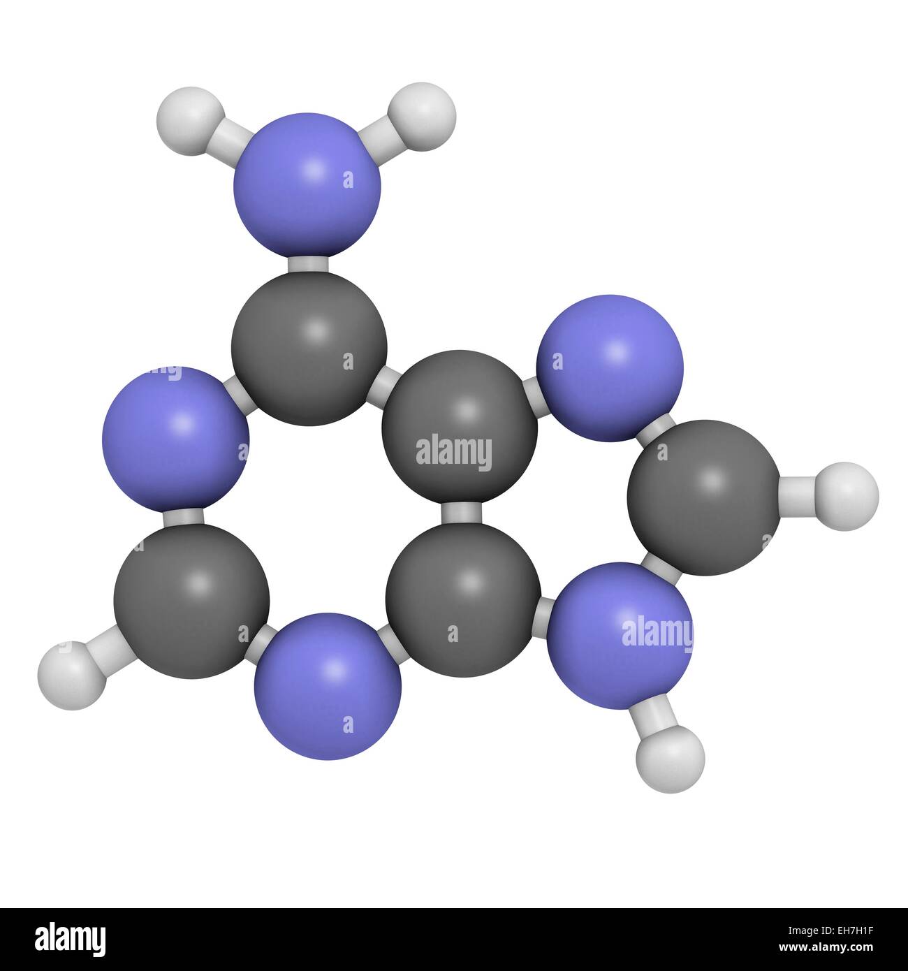Adenine purine nucleobase molecule Stock Photo - Alamy