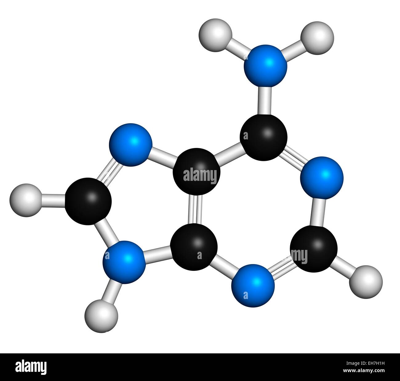 Adenine purine nucleobase molecule Stock Photo - Alamy