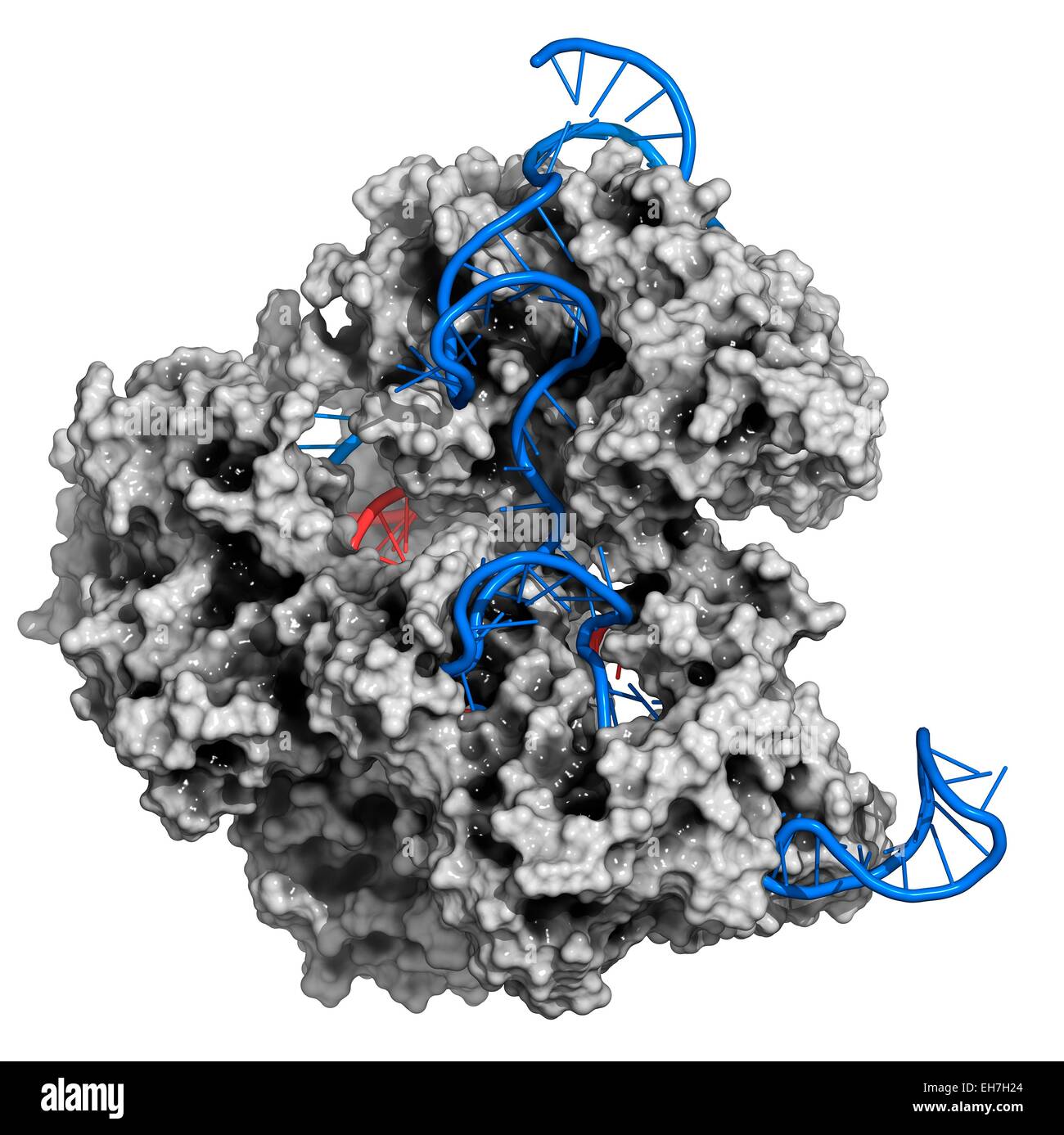 CRISPR-CAS9 gene editing complex Stock Photo - Alamy