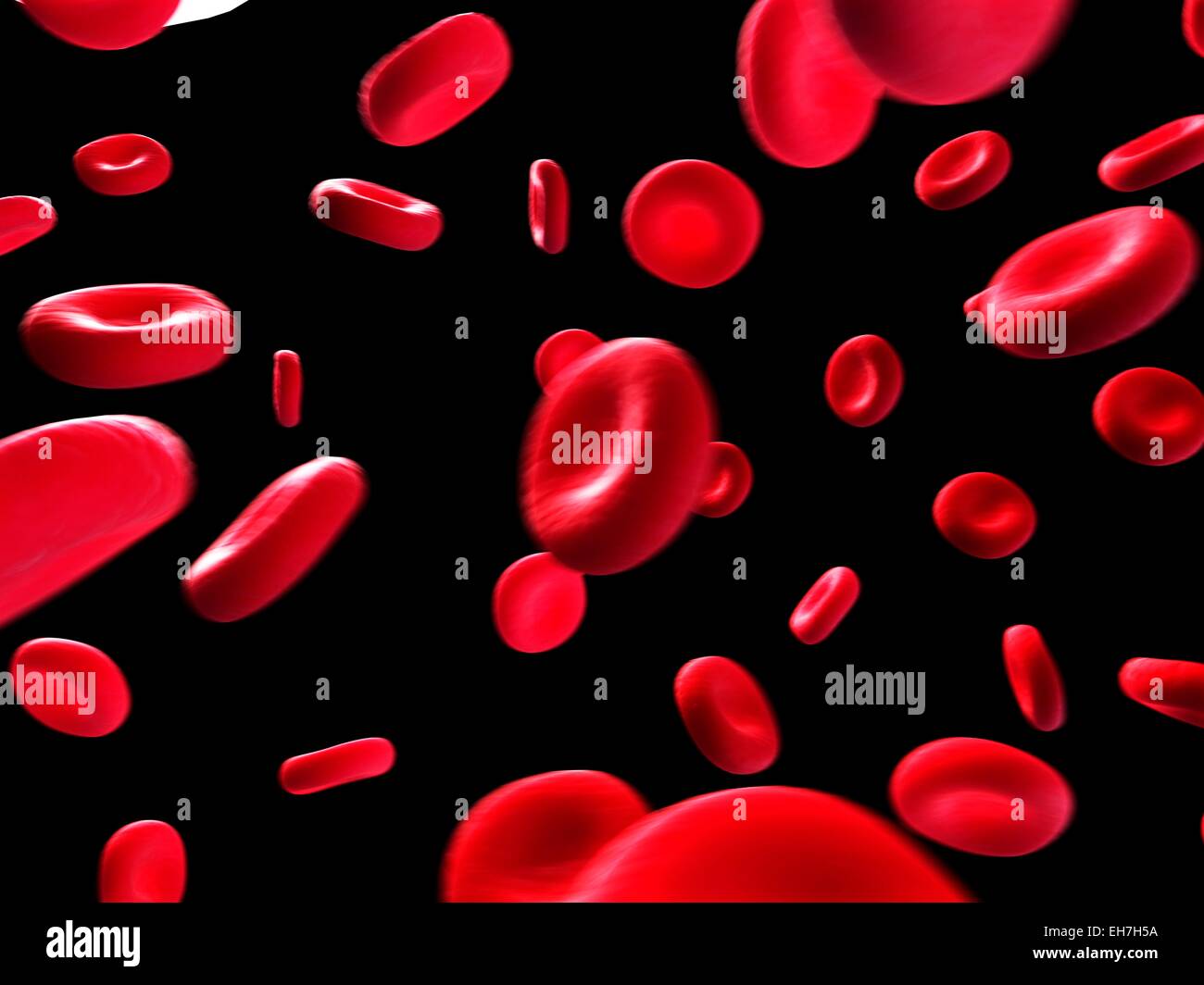 Human red blood cells, illustration Stock Photo - Alamy