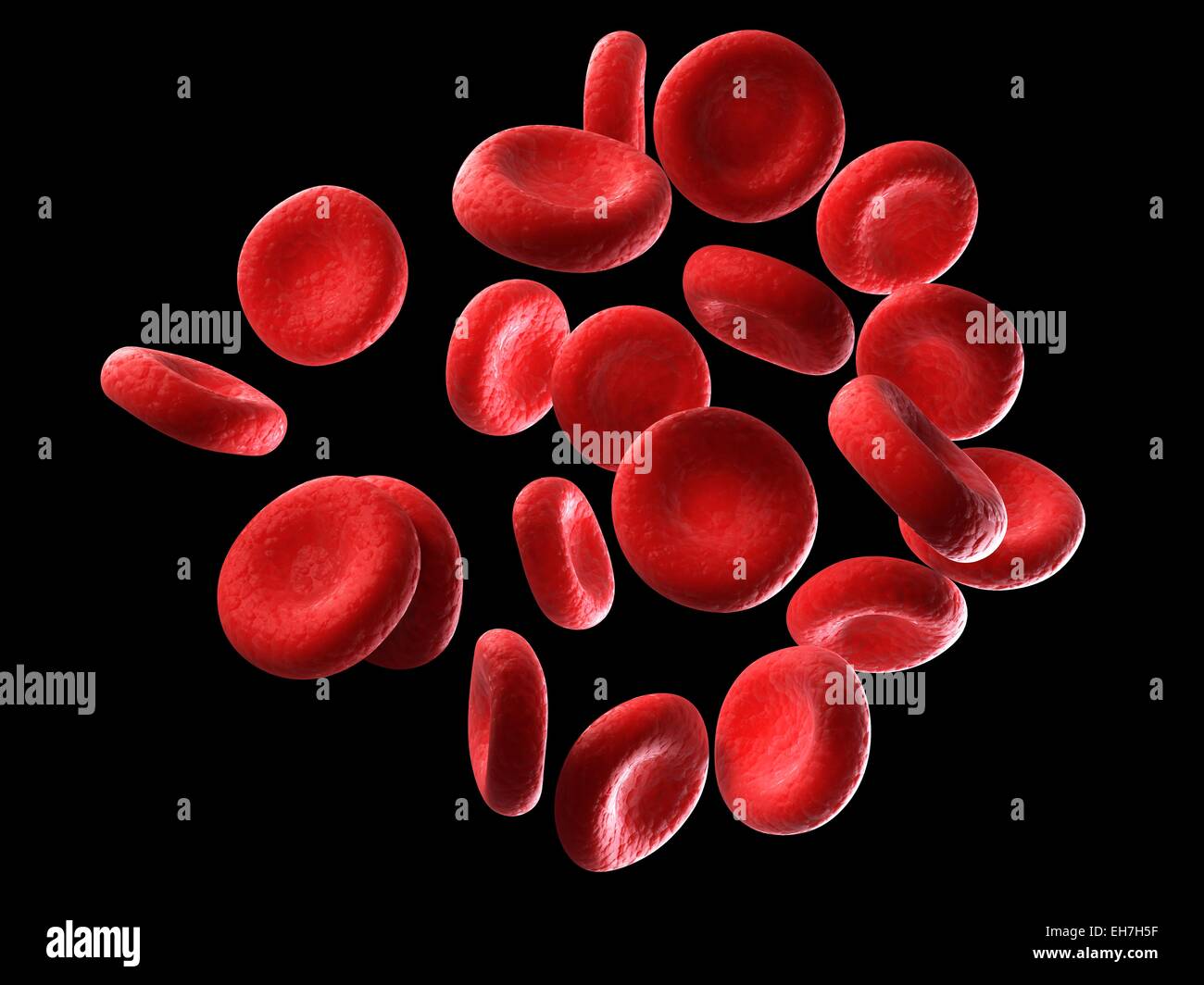 Human red blood cells, illustration Stock Photo - Alamy