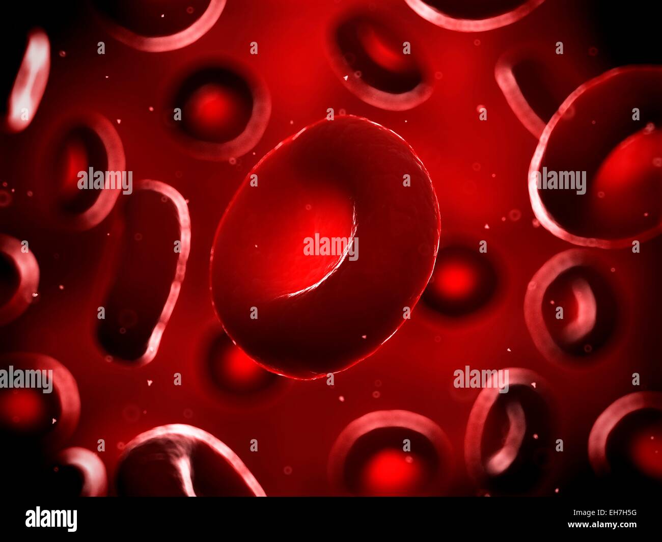 Human red blood cells, illustration Stock Photo - Alamy