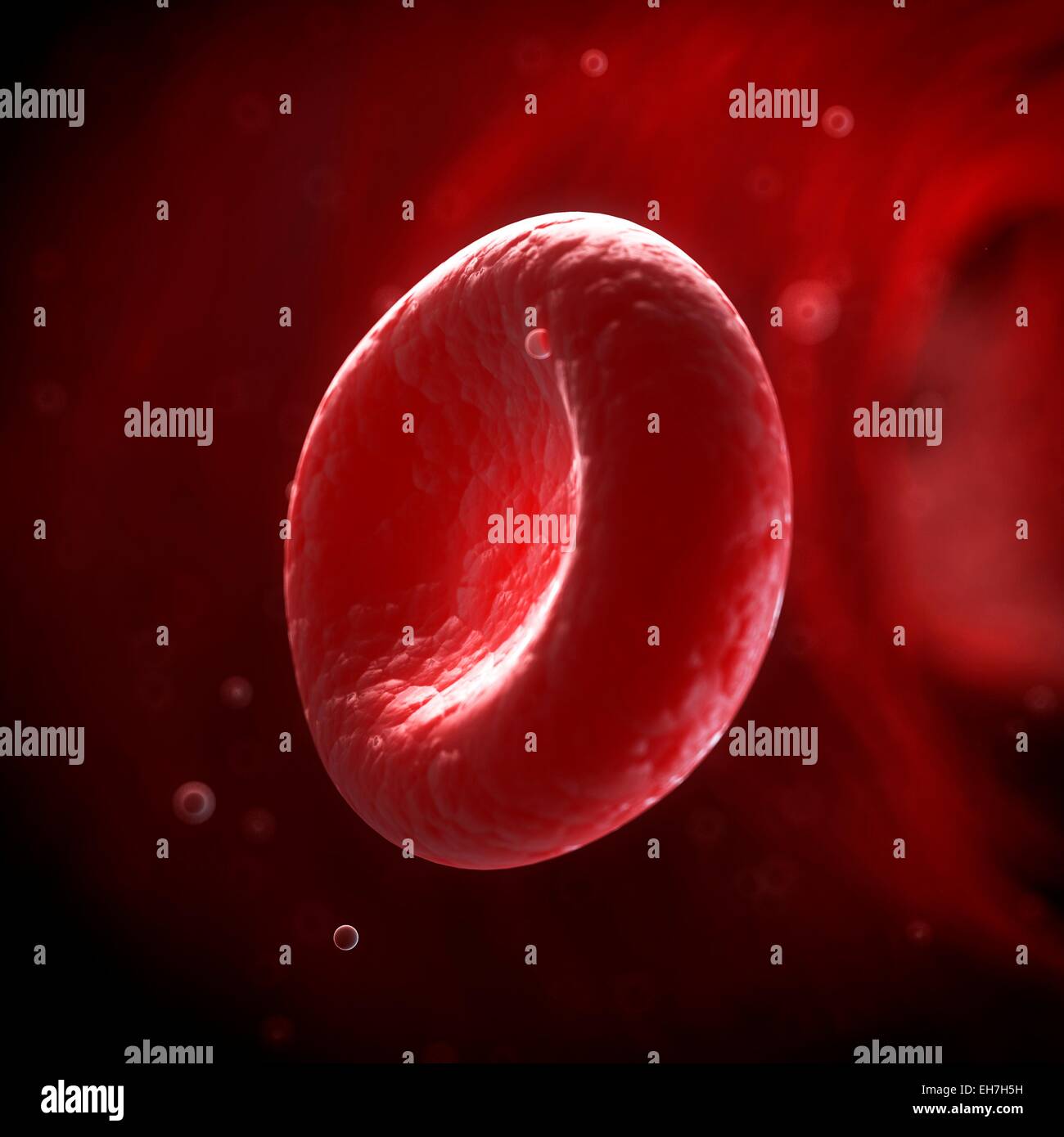 Human red blood cell hi-res stock photography and images - Alamy