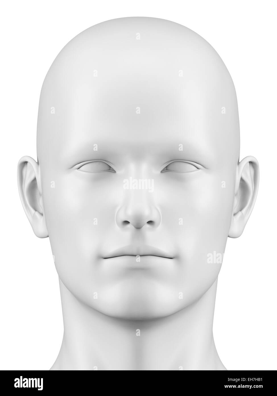 Human head, illustration Stock Photo - Alamy
