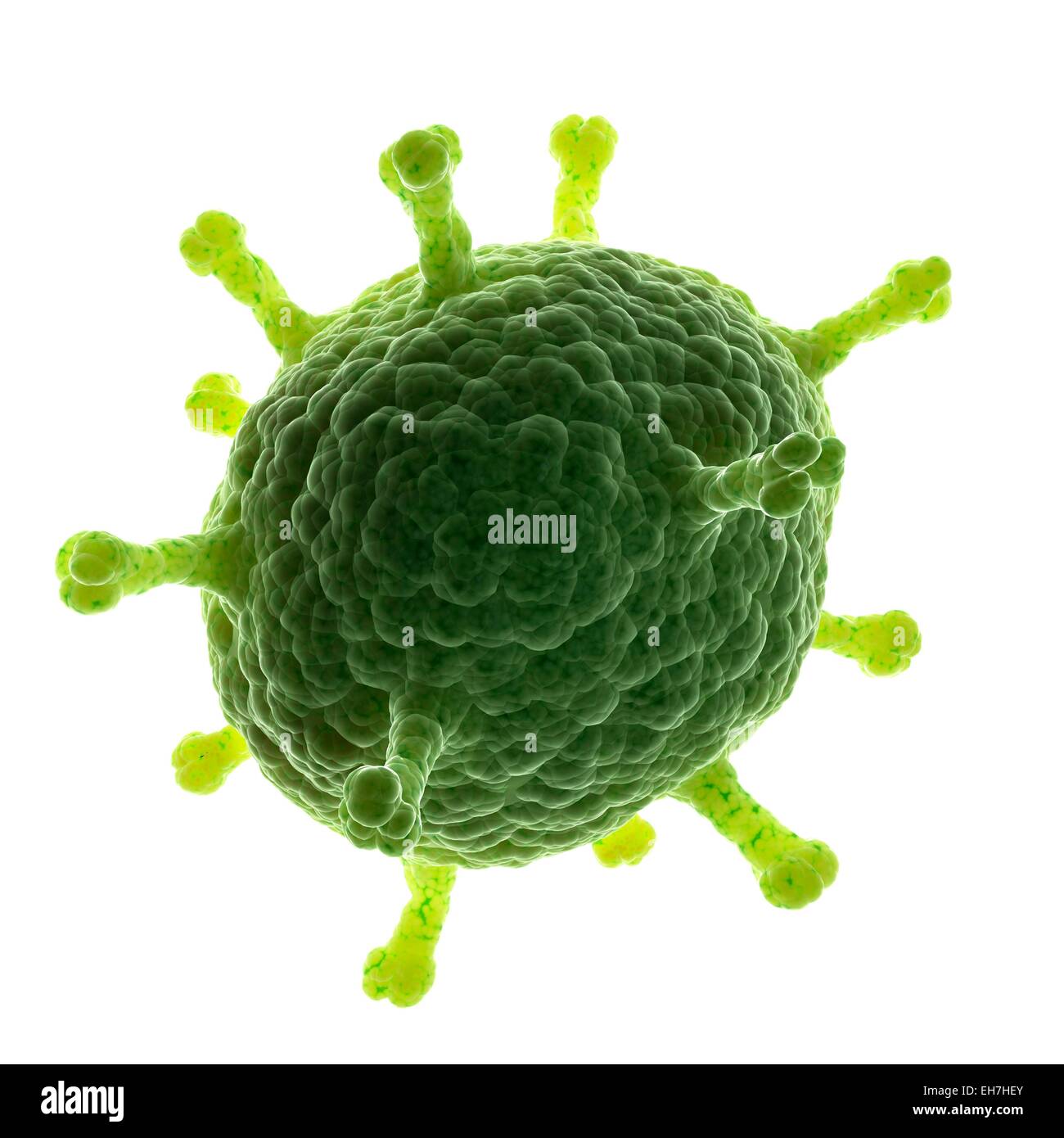 No virus computer generated Cut Out Stock Images & Pictures - Alamy