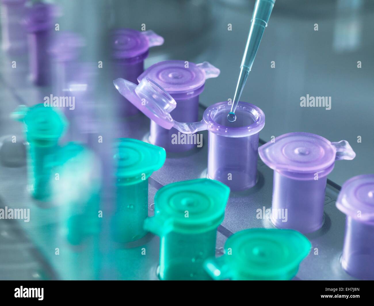 Test tubes and pipette Stock Photo - Alamy