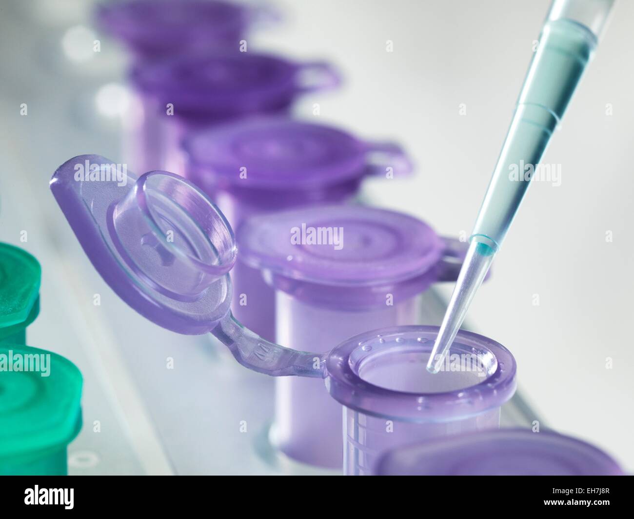 Test tubes and pipette Stock Photo - Alamy
