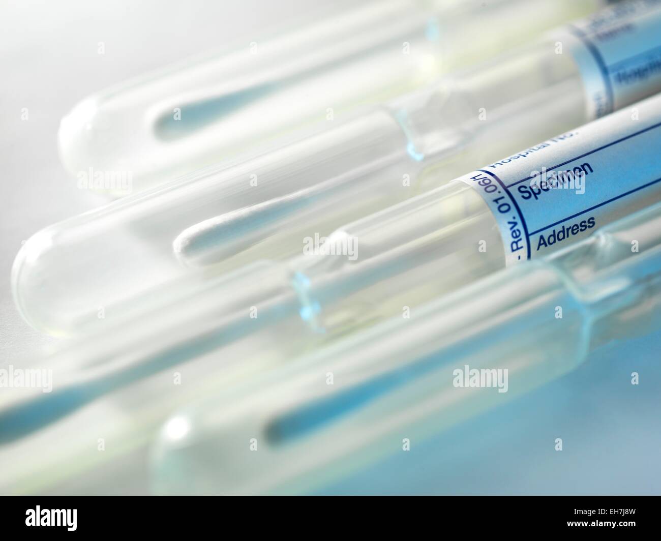 Buccal swabs used to obtain dna Stock Photo - Alamy