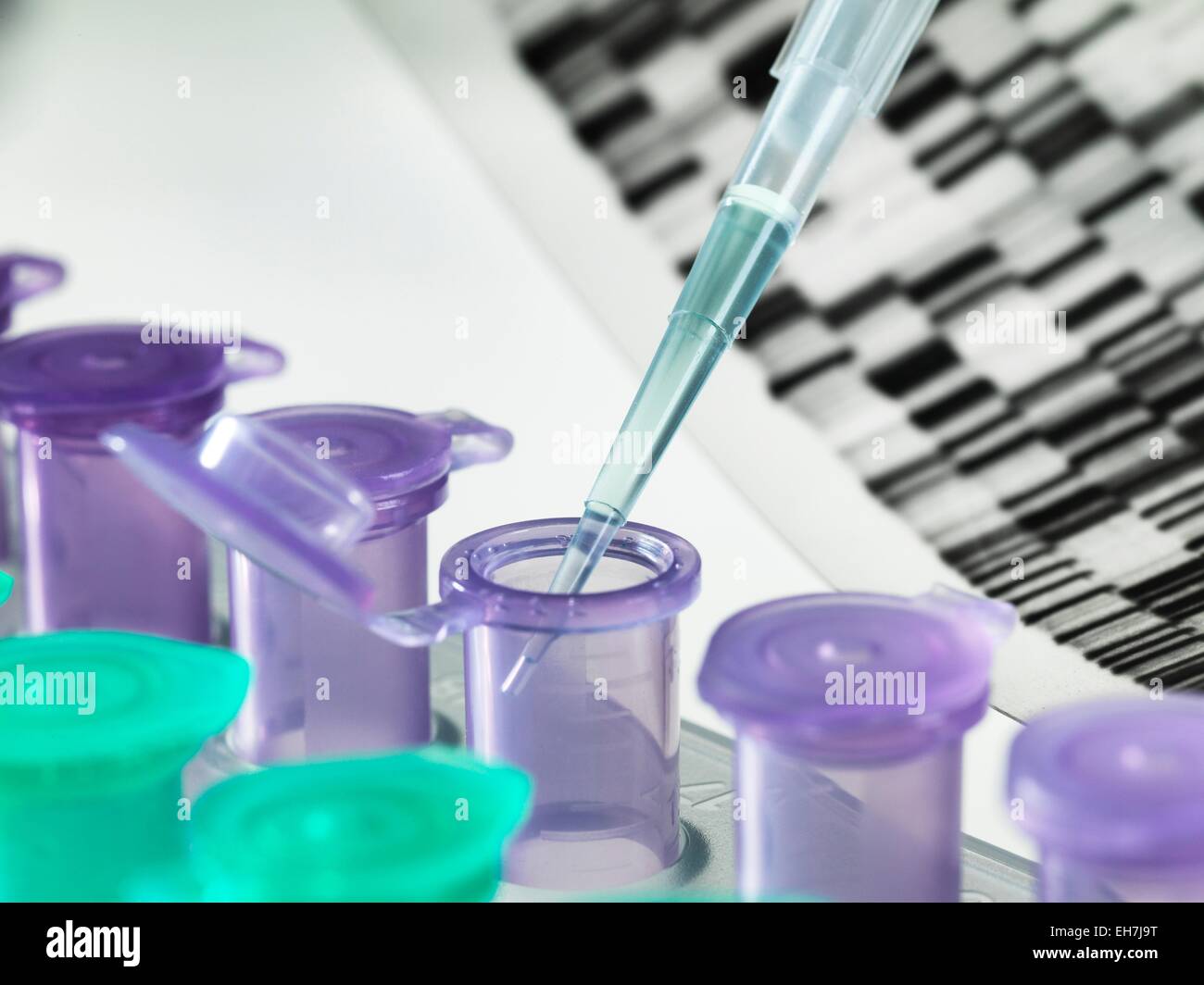 Test tubes and pipette Stock Photo - Alamy