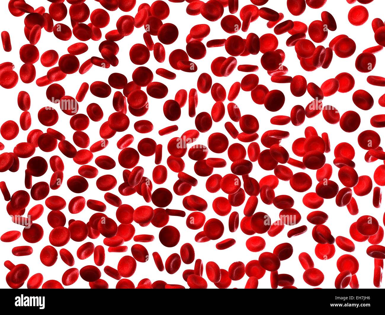 Human red blood cells, illustration Stock Photo - Alamy