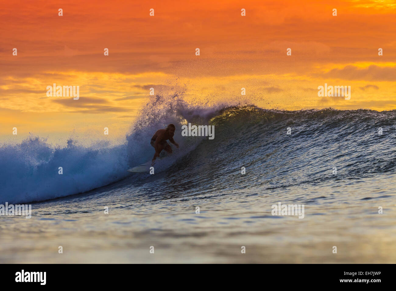 Surfing at sunset time Stock Photo - Alamy