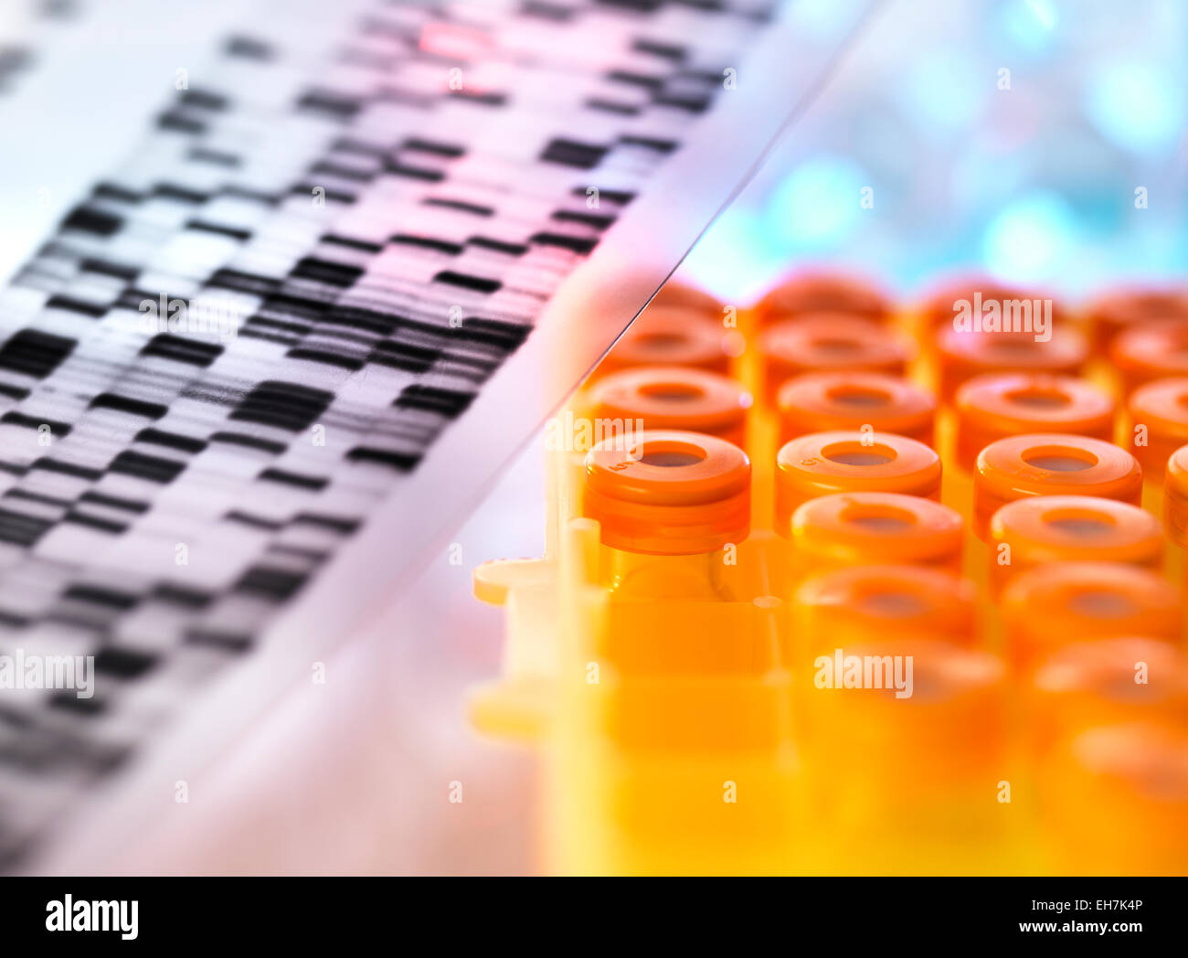 Dna gel tray hi-res stock photography and images - Alamy