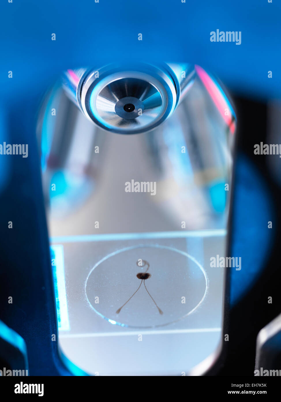 Sample stage hi-res stock photography and images - Alamy