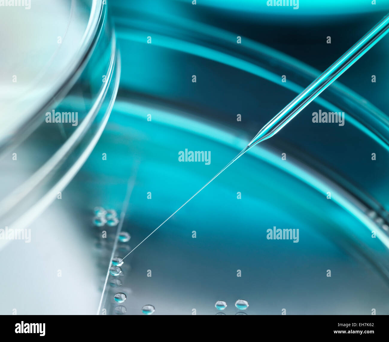 Stem Cell Research Stock Photo - Alamy