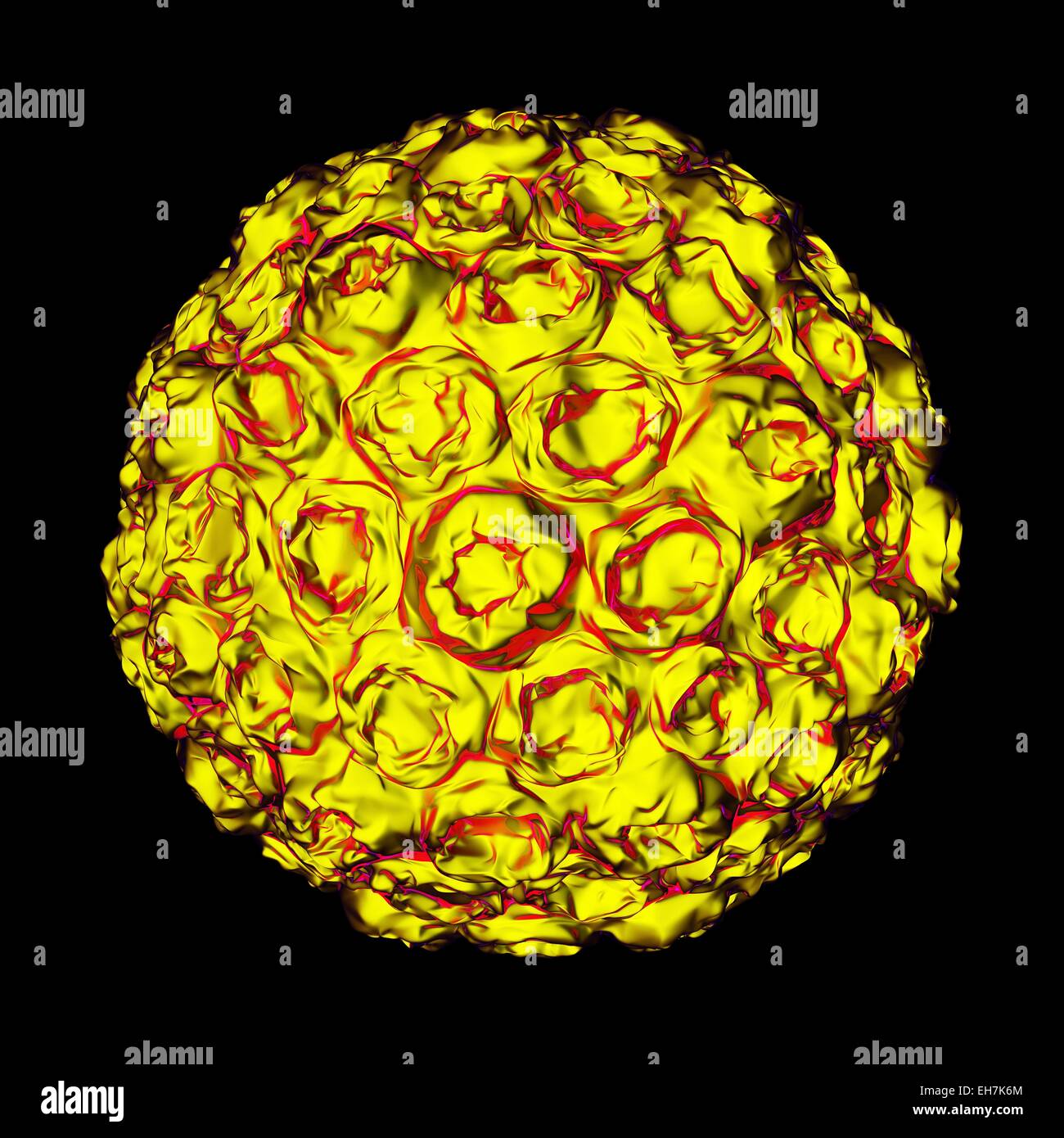 Human papilloma virus particle hi-res stock photography and images - Alamy