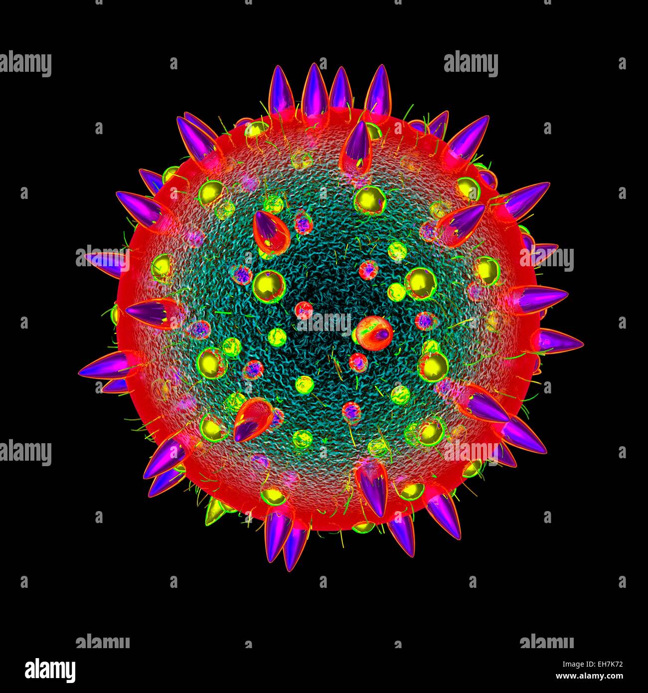 Pollen grain, illustration Stock Photo - Alamy
