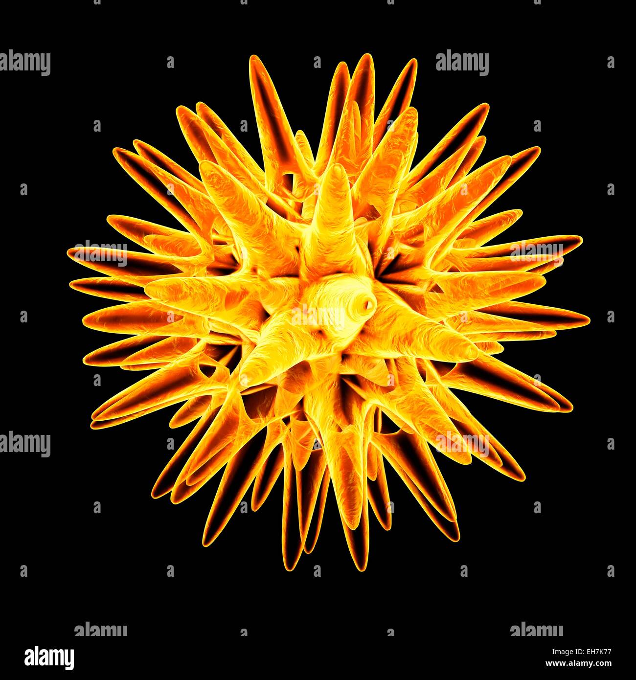 Pollen grain, illustration Stock Photo - Alamy