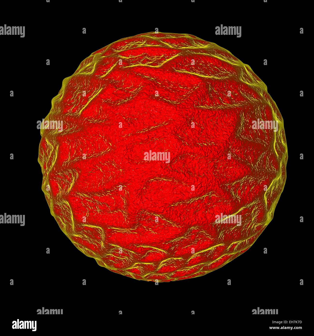 Pollen grain, illustration Stock Photo - Alamy
