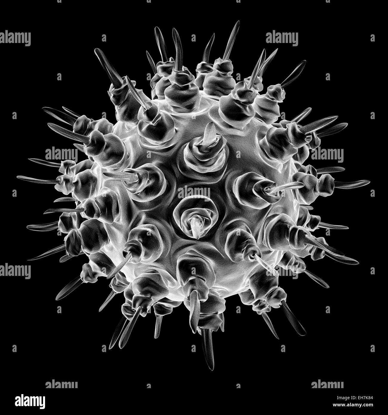 Virus artwork Black and White Stock Photos & Images - Alamy