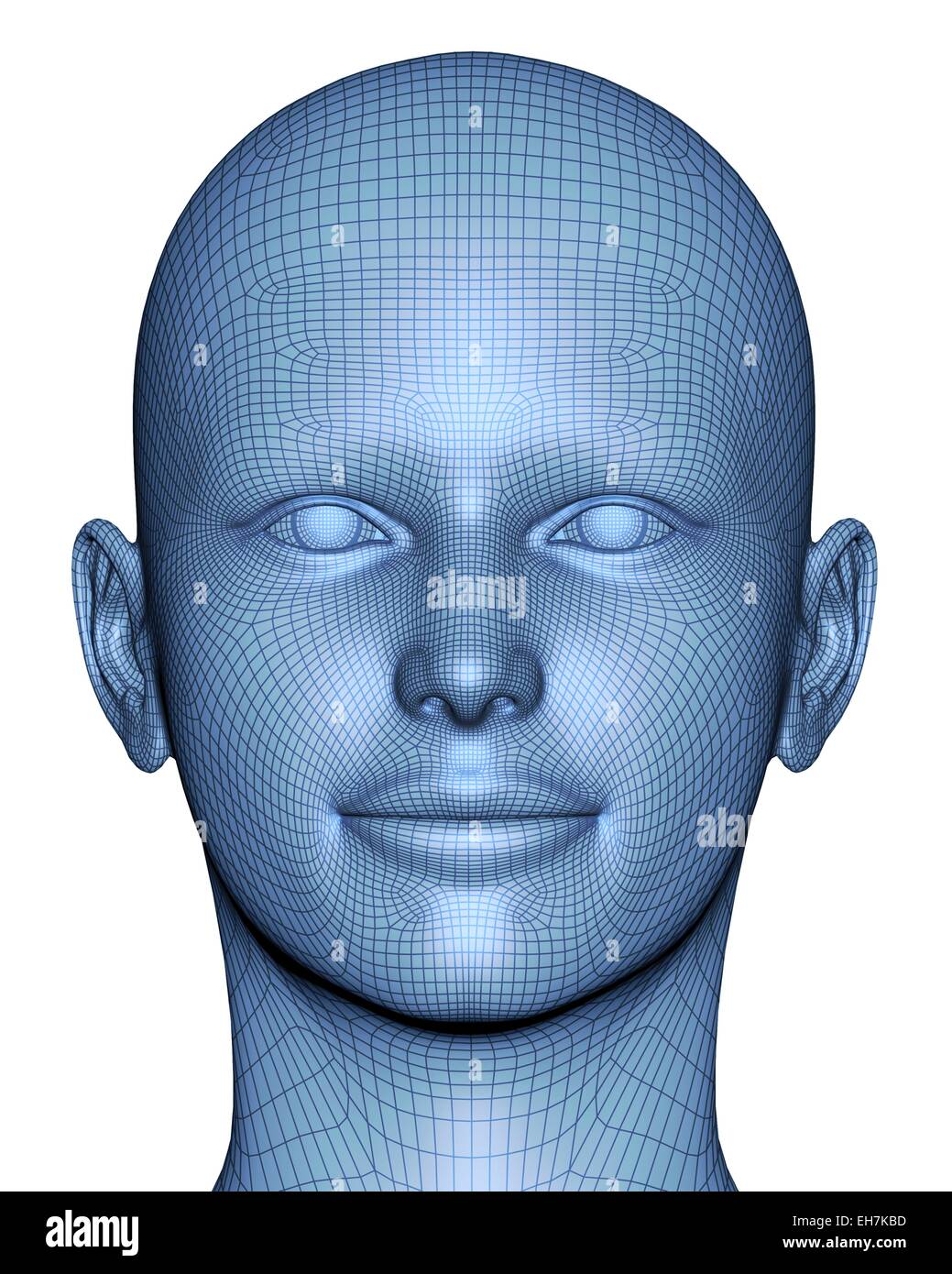 Human wireframe head hi-res stock photography and images - Alamy