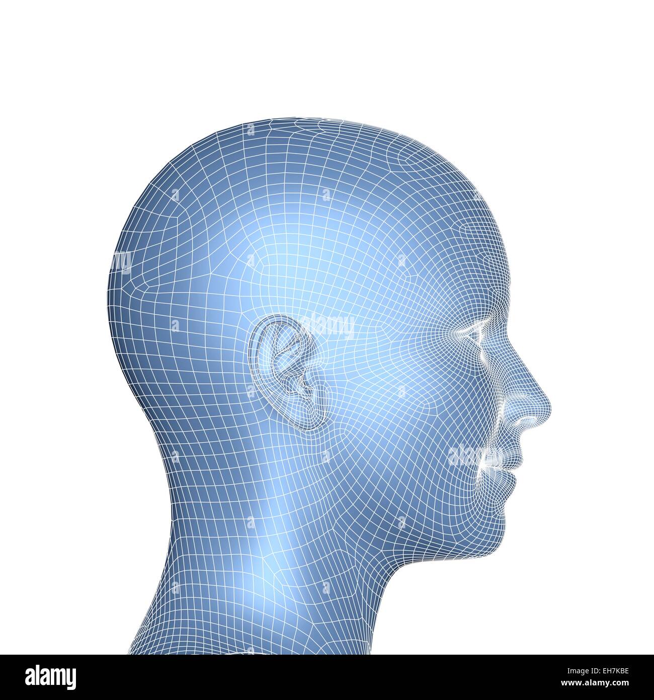 Human wireframe head hi-res stock photography and images - Alamy