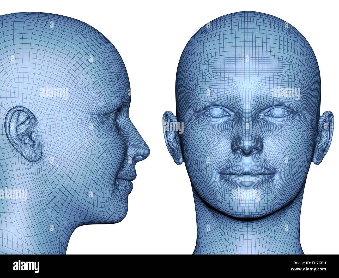 Wireframe hi-res stock photography and images - Alamy