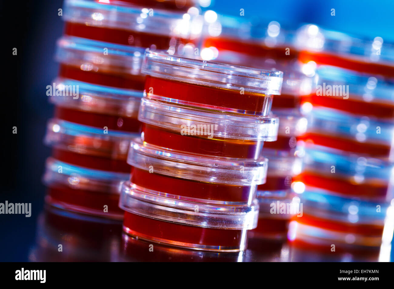 Petri dishes stack hi-res stock photography and images - Alamy