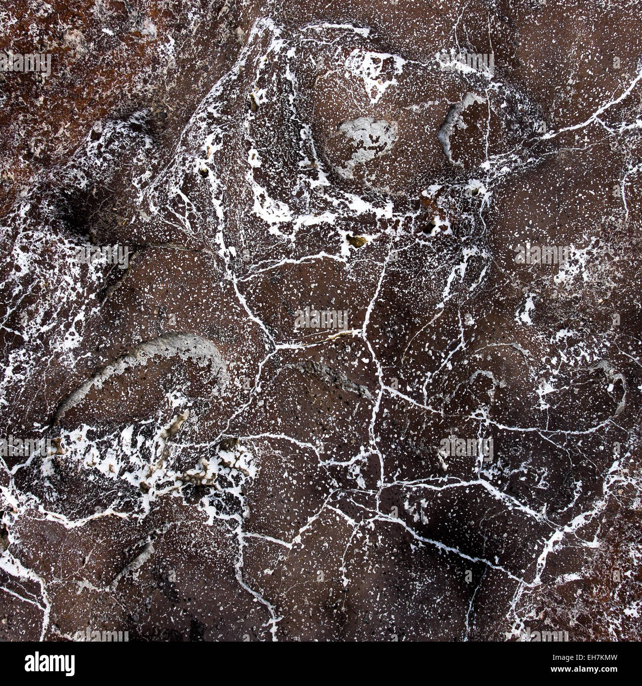veins on the stone texture Stock Photo - Alamy