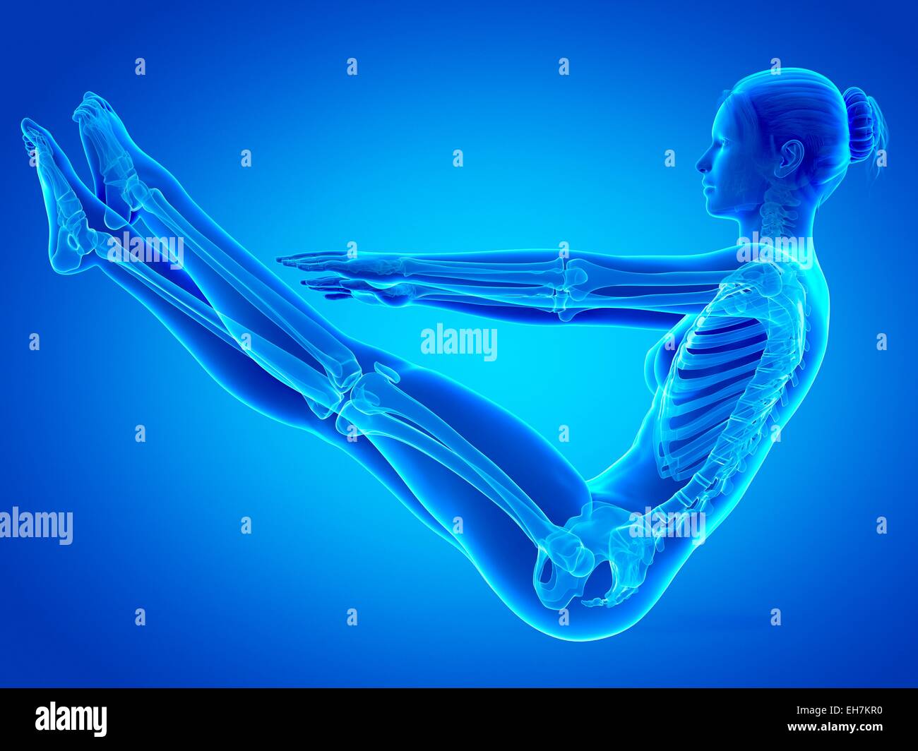 Skeletal horizontal hi-res stock photography and images - Alamy