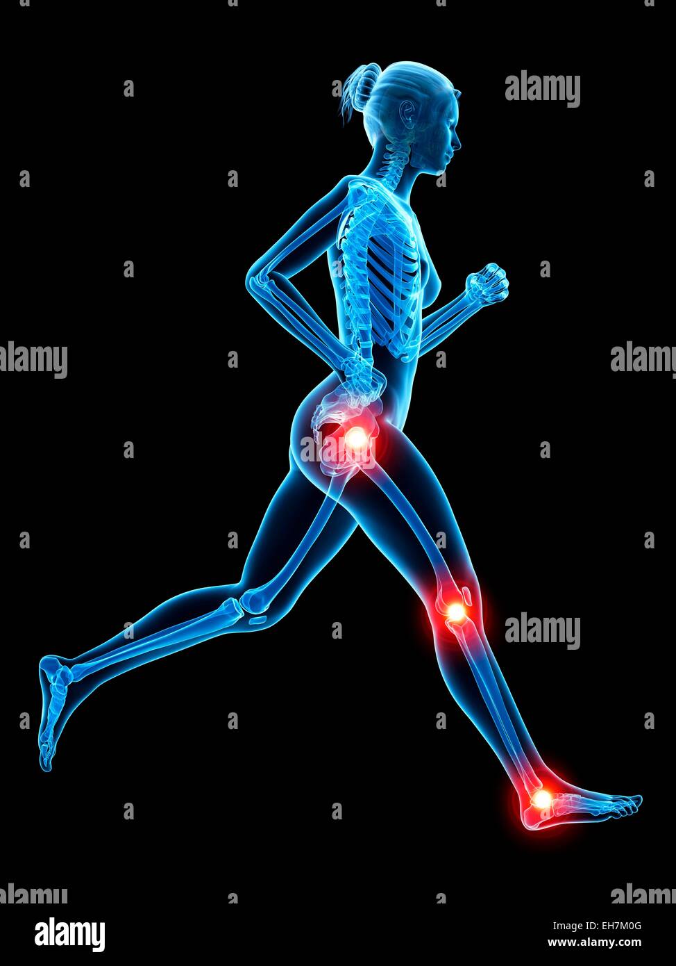 Human body joints illustration hi-res stock photography and images - Alamy
