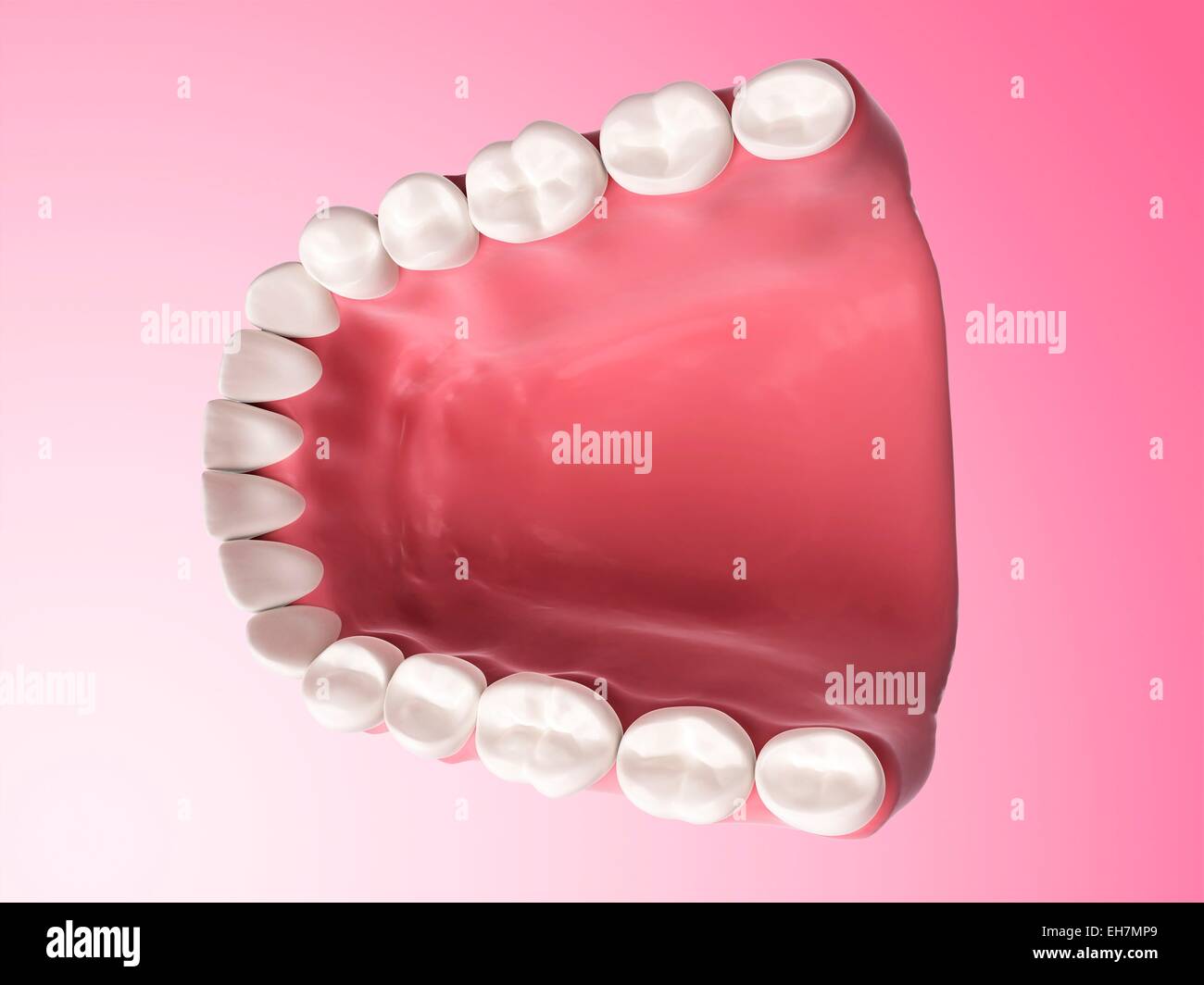 Teeth lower health hi-res stock photography and images - Alamy