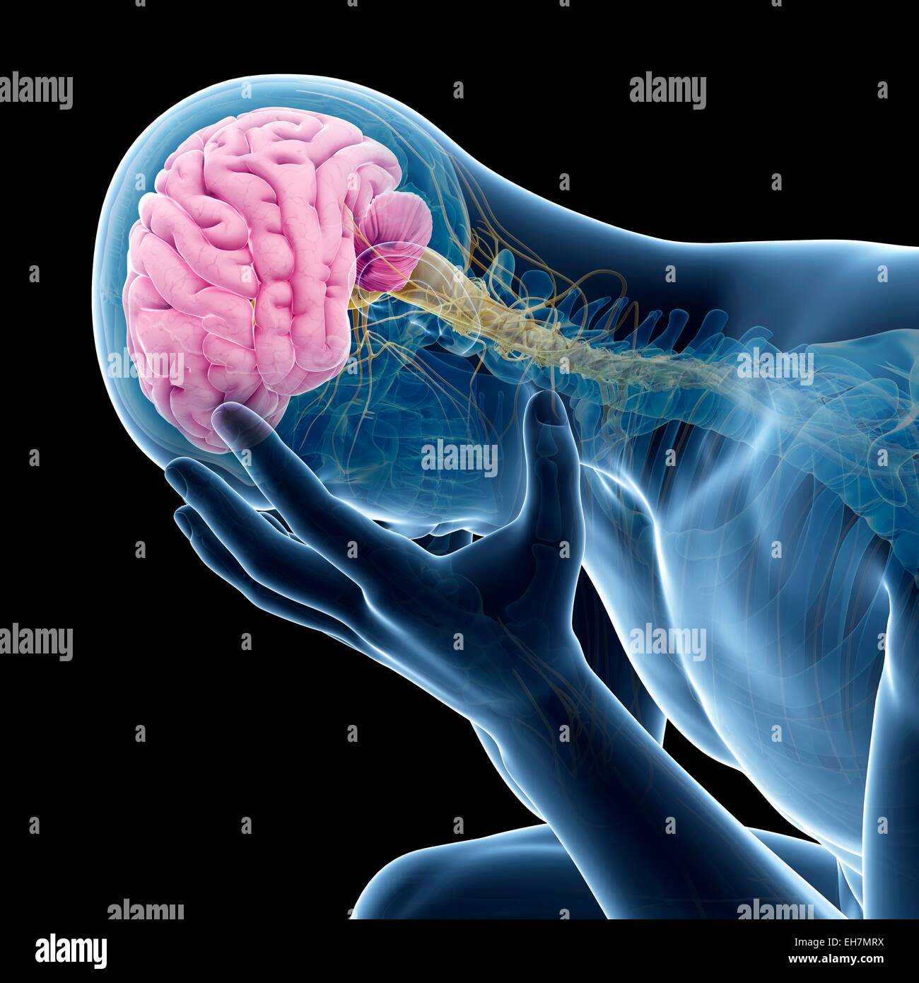Depression in human brain hi-res stock photography and images - Alamy