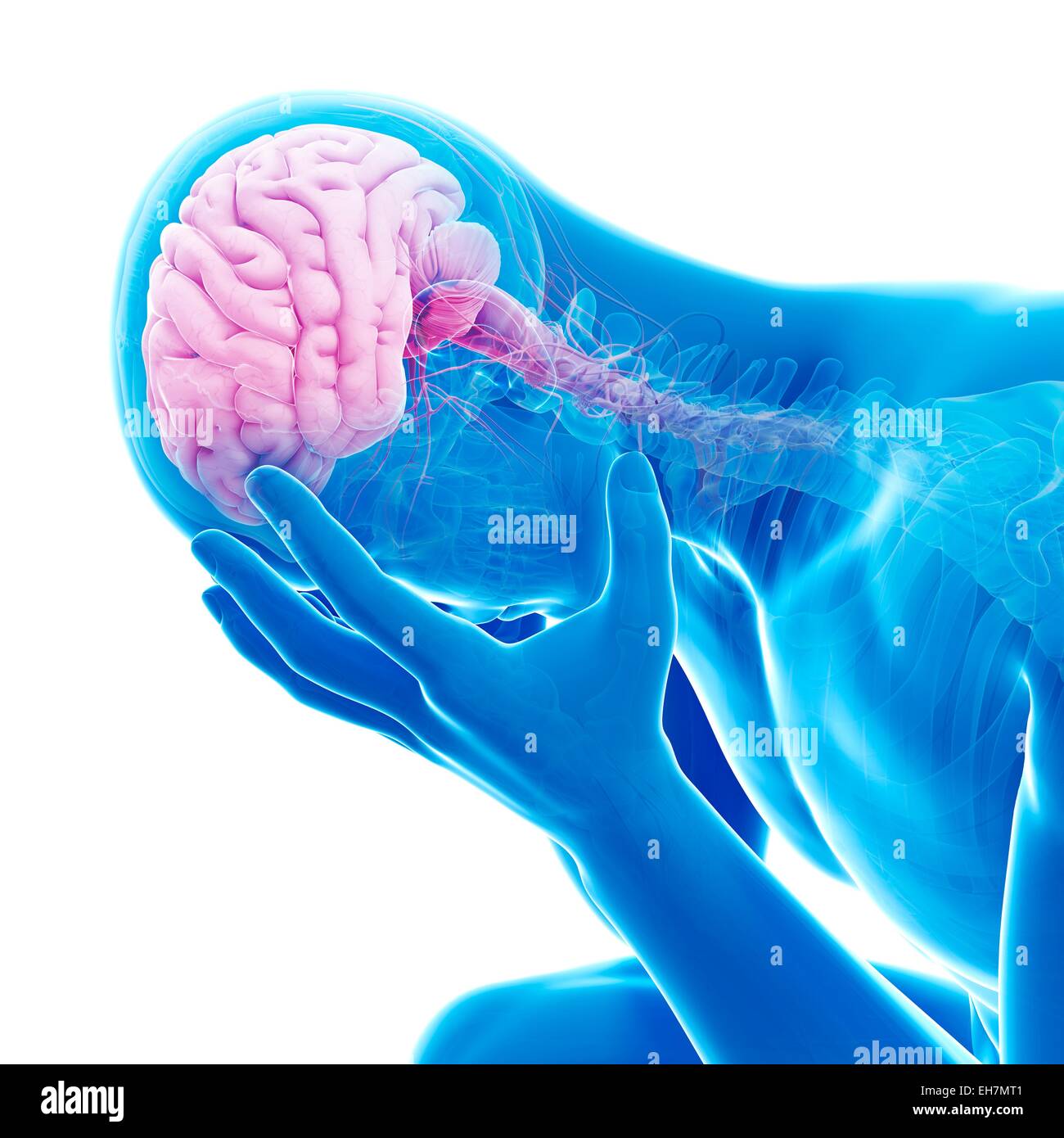 Depression in human brain hi-res stock photography and images - Alamy