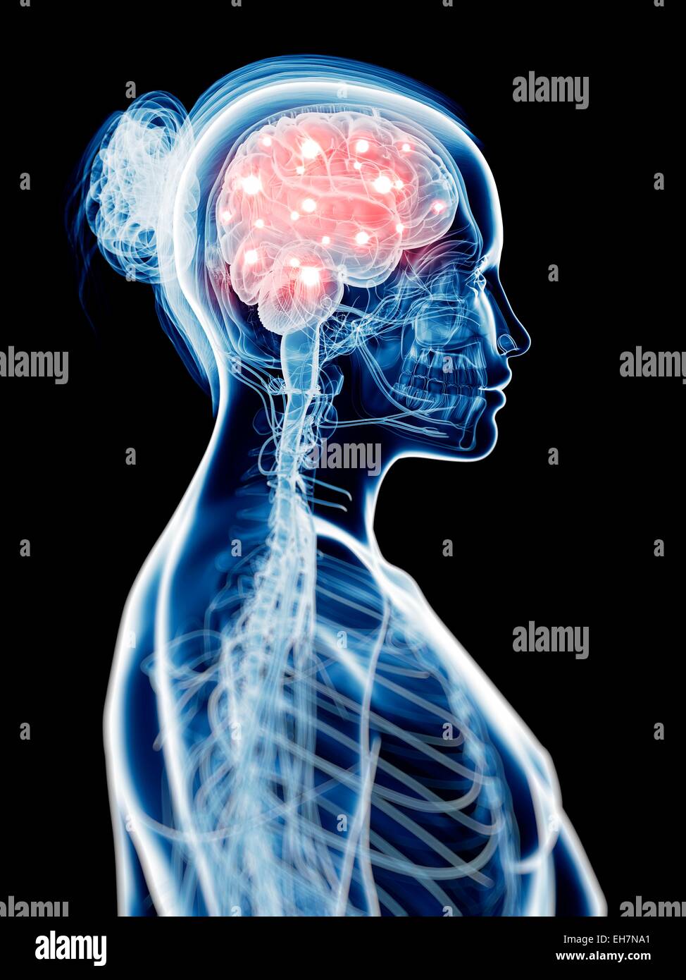 Human head with brain activity hi-res stock photography and images - Alamy