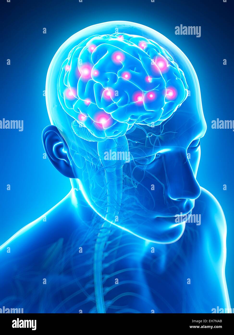 Human brain activity, illustration Stock Photo - Alamy