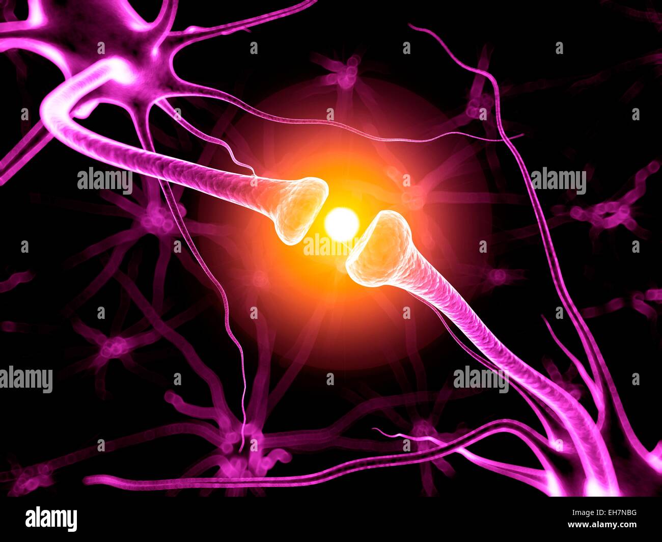 Nerve cell, illustration Stock Photo - Alamy