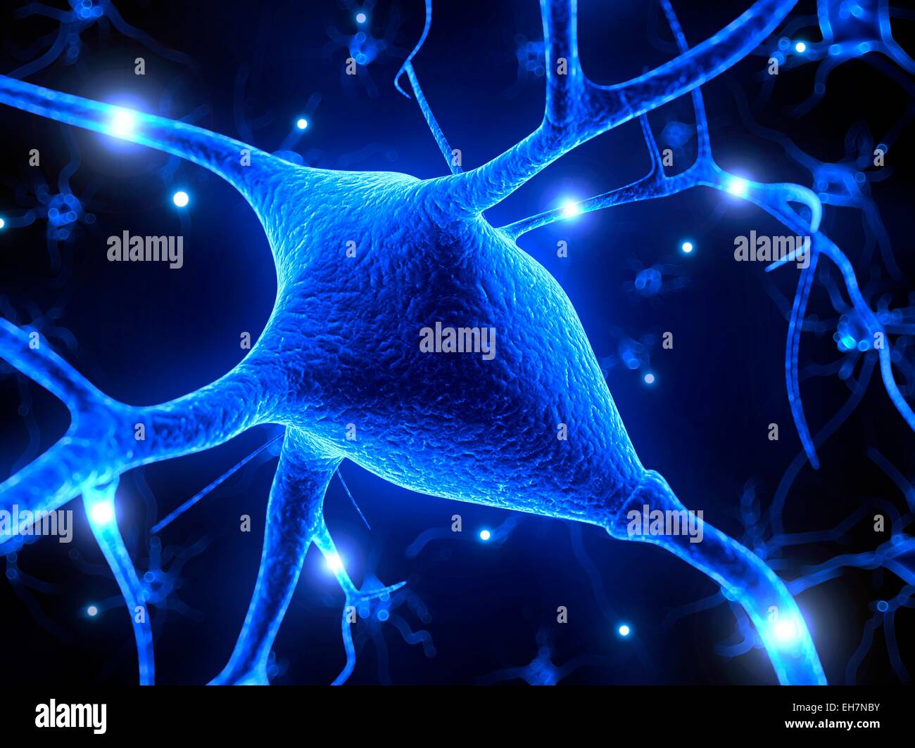 Nerve cell, illustration Stock Photo - Alamy