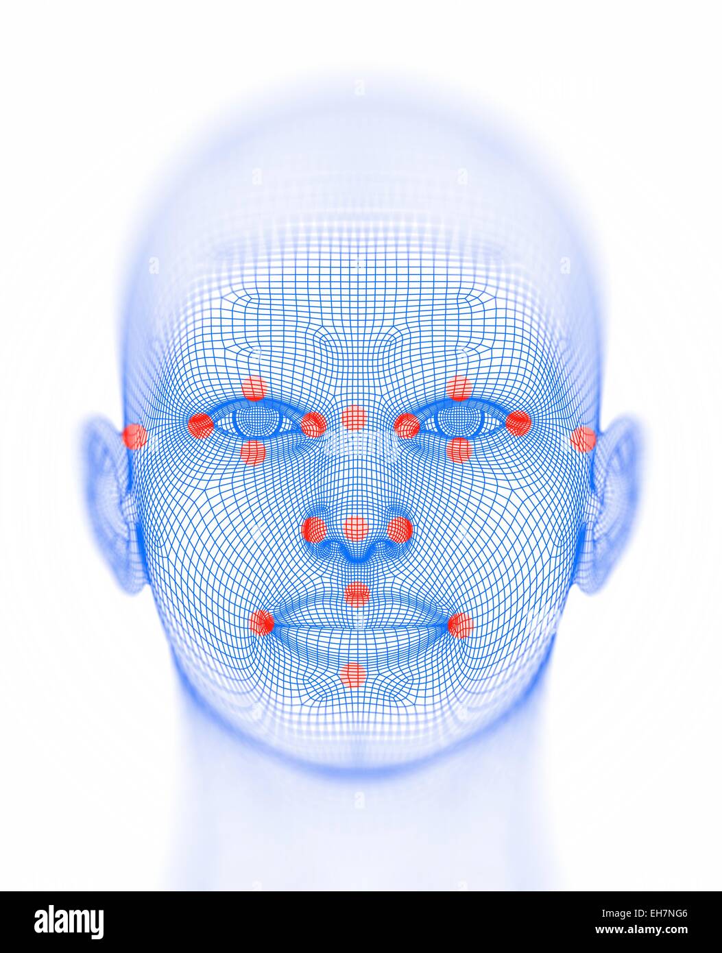Biometric markers face hi-res stock photography and images - Alamy