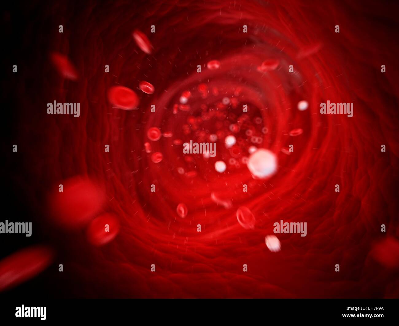 Human blood cells, illustration Stock Photo - Alamy